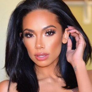 Erica Mena Bio, Wiki, Age, Family, Height, Son, Bow Wow, Book, Surgery ...