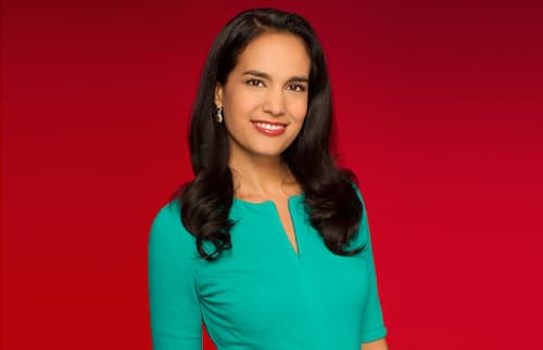 Kristie Lu Stout Bio, Wiki, Age, Husband, CNN, Net Worth, Salary | The ...