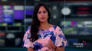 Aalia Adam Bio, Wiki, Age, Height, Global News, Husband, Net worth ...