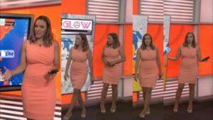 Melissa Constanzer Bio, Age, Husband, AccuWeather, Net Worth | The ...