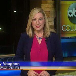 Crysty Vaughan Bio, Wiki, Age, Family, WOLO-TV, and Net Worth | The ...