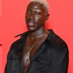 Moses Sumney Bio, Wiki, Age, Family, The Idol, and Net Worth | The ...