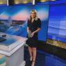 Kate Siefert Bio, Wiki, Family, WWMT, WSYX-TV, and Net Worth | The ...
