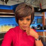 Erin Pickens Bio, Wiki, Age, Height, WAPT-TV, Salary, & Net Worth | The ...